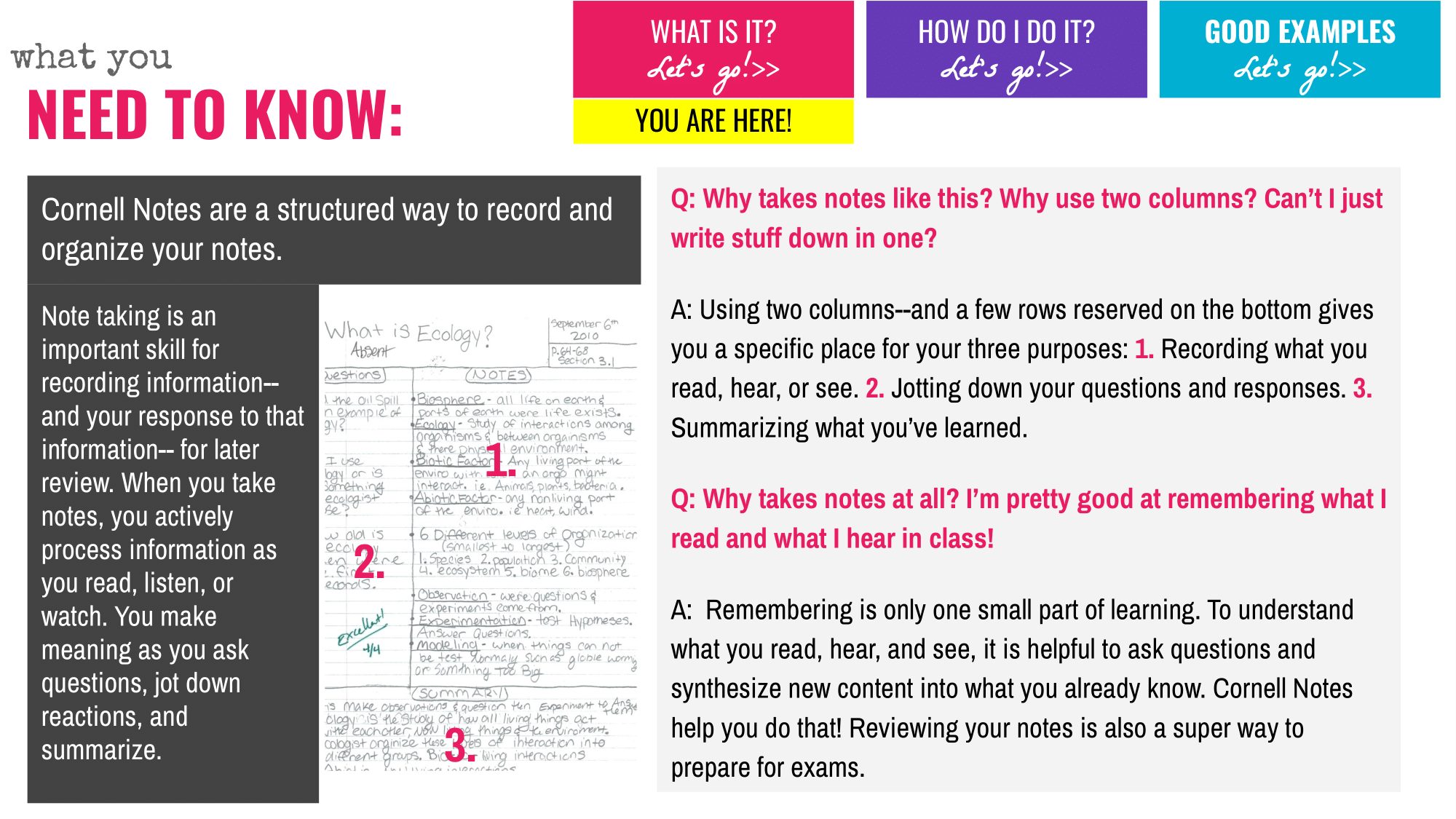 Learning Activity Guide: Cornell Notes – Building21